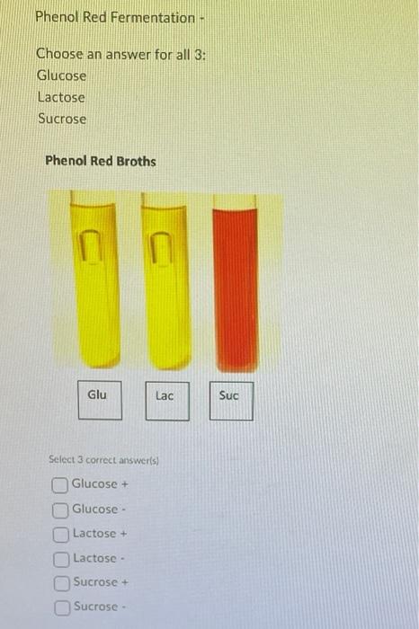 Solved Phenol Red Fermentation - Choose an answer for all 3: | Chegg.com