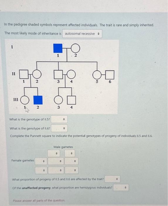 Solved In the pedigree shaded symbols represent affected | Chegg.com