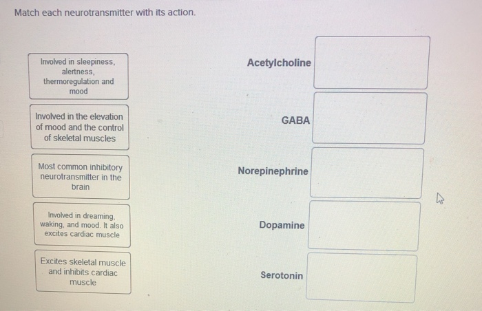 Solved Match each neurotransmitter with its action. | Chegg.com
