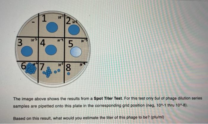 The image above shows the results from a Spot Titer | Chegg.com