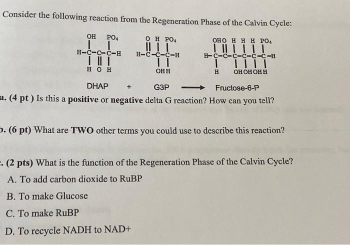 Solved Consider the following reaction from the Regeneration | Chegg.com