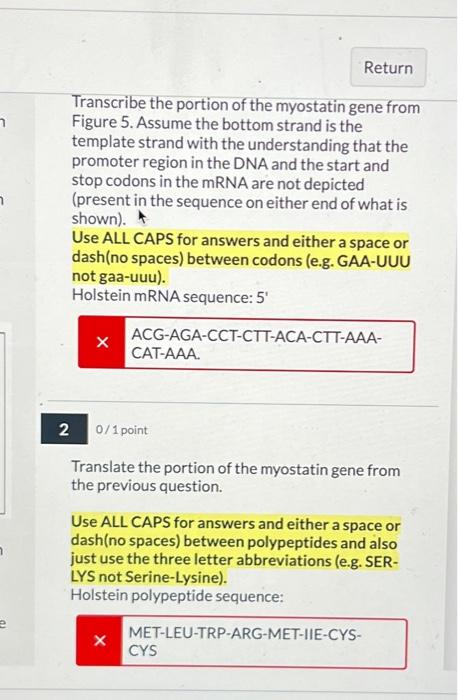 Solved Transcribe the portion of the myostatin gene from | Chegg.com