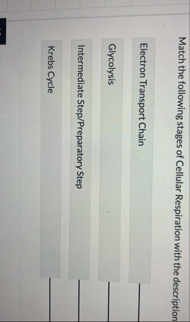 Solved Match the following stages of Cellular Respiration | Chegg.com