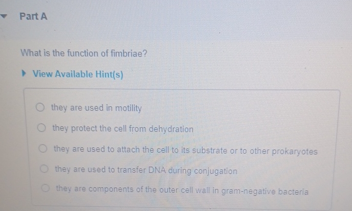 Solved Part AWhat is the function of fimbriae?View Available | Chegg.com