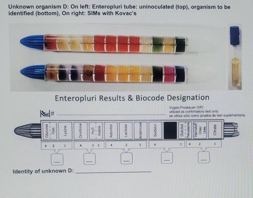 Solved How to identify biocode for this organism & what is | Chegg.com