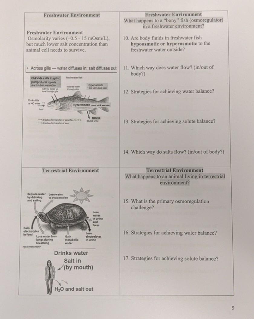 Solved Freshwater Environment Freshwater Environment What | Chegg.com