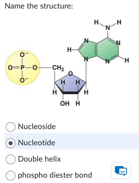 Solved Name the structure: Nucleoside Nucleotide Double | Chegg.com