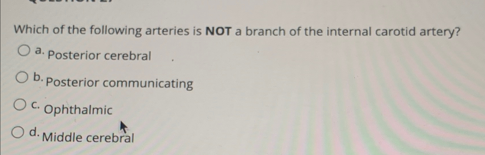 Solved Which of the following arteries is NOT a branch of | Chegg.com