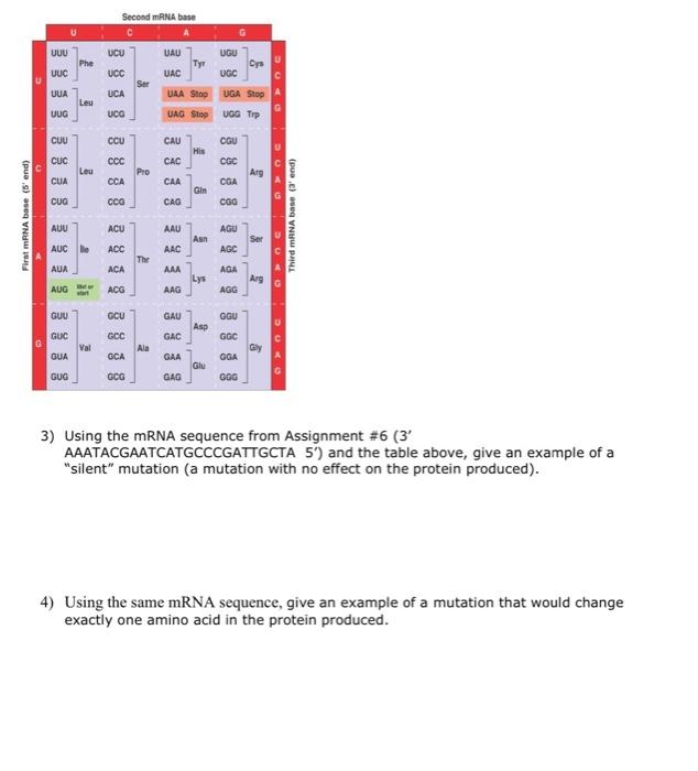 Solved Second mRNA base с U G UUU UCU UAU UGU Phe Tyr Dys | Chegg.com