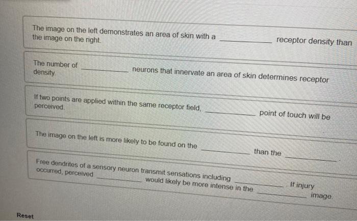 Solved Select the correct word from the list to complete | Chegg.com