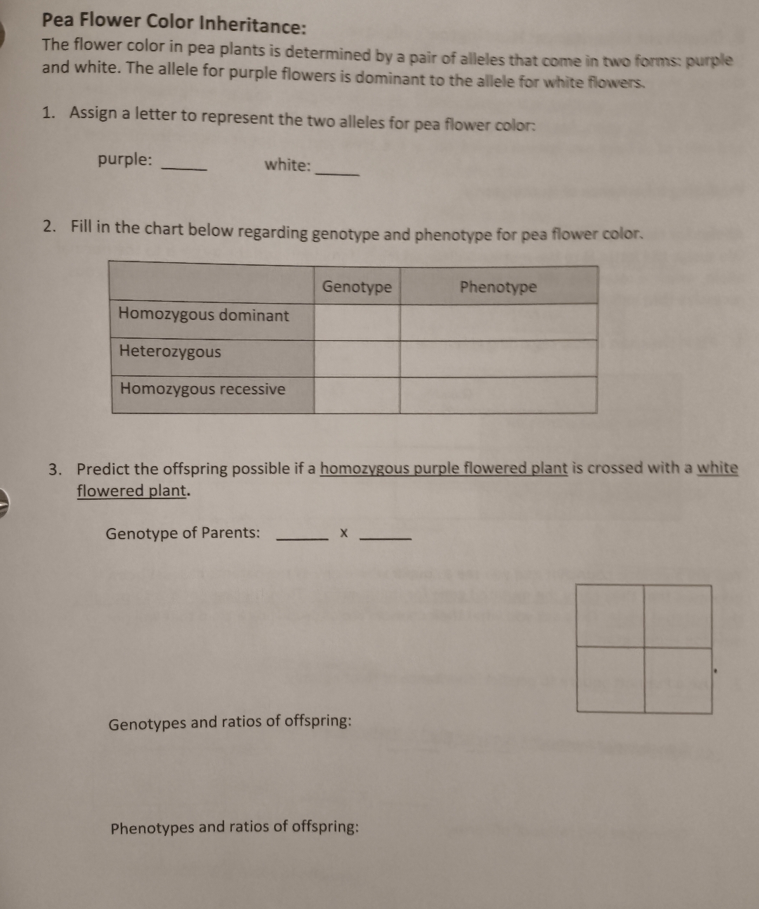 Solved Pea Flower Color Inheritance:The flower color in pea | Chegg.com