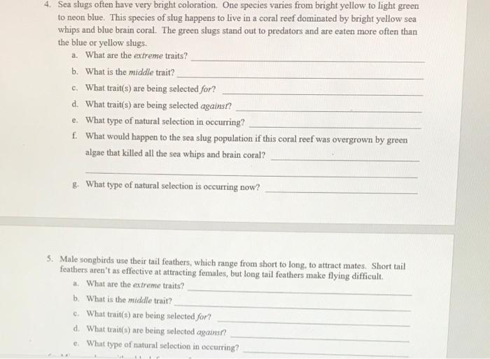 Solved Types of Natural Selection Worksheet 1. True or | Chegg.com