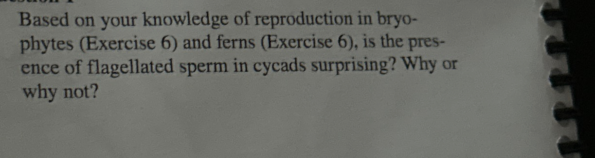 Solved Based on your knowledge of reproduction in bryophytes | Chegg.com