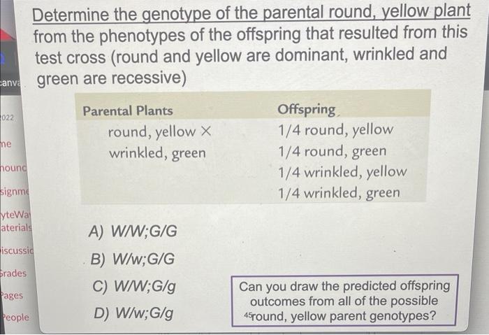 Solved Determine the genotype of the parental round, yellow | Chegg.com
