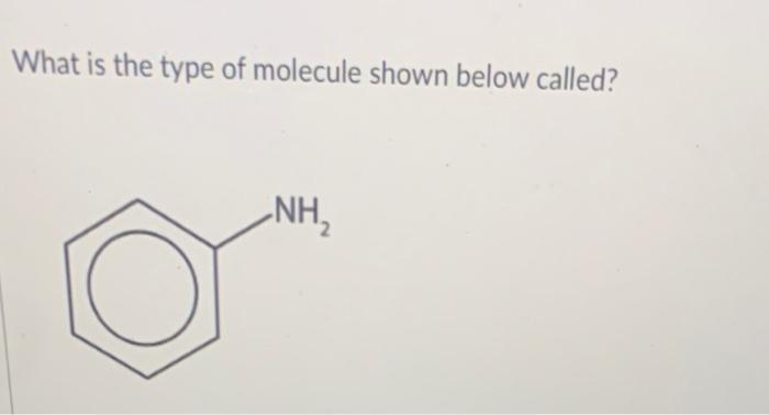 Solved What is the type of molecule shown below called? NH, | Chegg.com