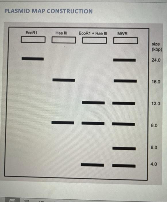 Solved PLASMID MAP CONSTRUCTION EcoR1 Hae 111 EcoR1 + Hae | Chegg.com