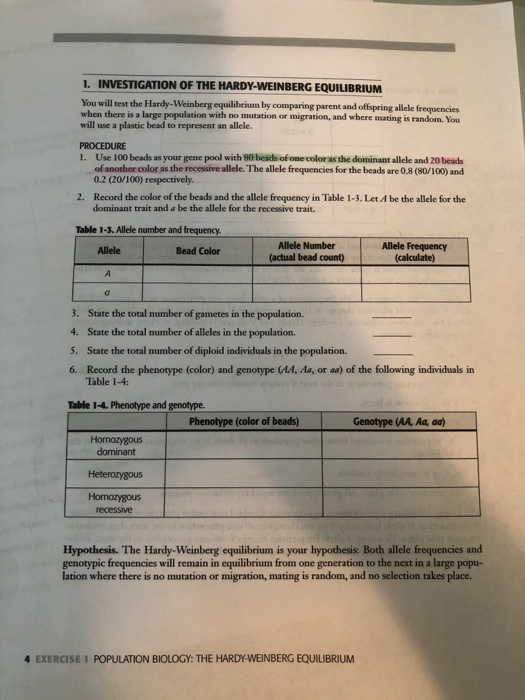 Solved 1. INVESTIGATION OF THE HARDY-WEINBERG EQUILIBRIUM | Chegg.com