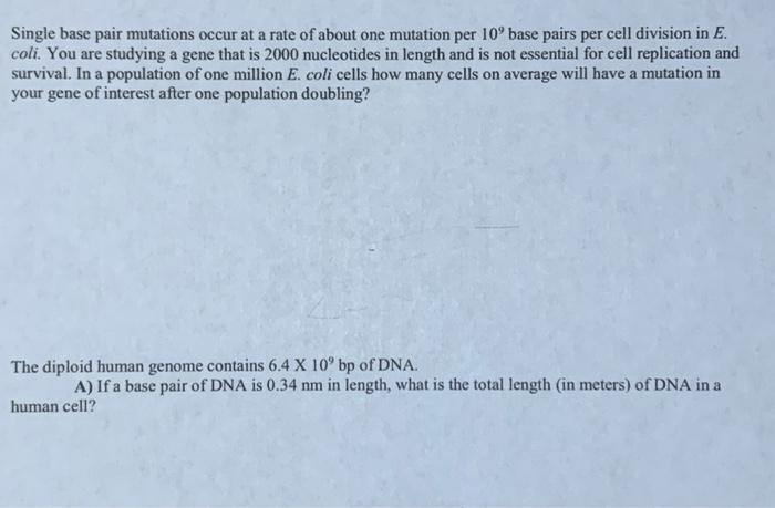 Solved 1 Single Base Pair Mutations Occur At A Rate Of 0381