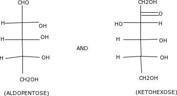 Solved Which aldopentose is shown? Which ketohexose is | Chegg.com