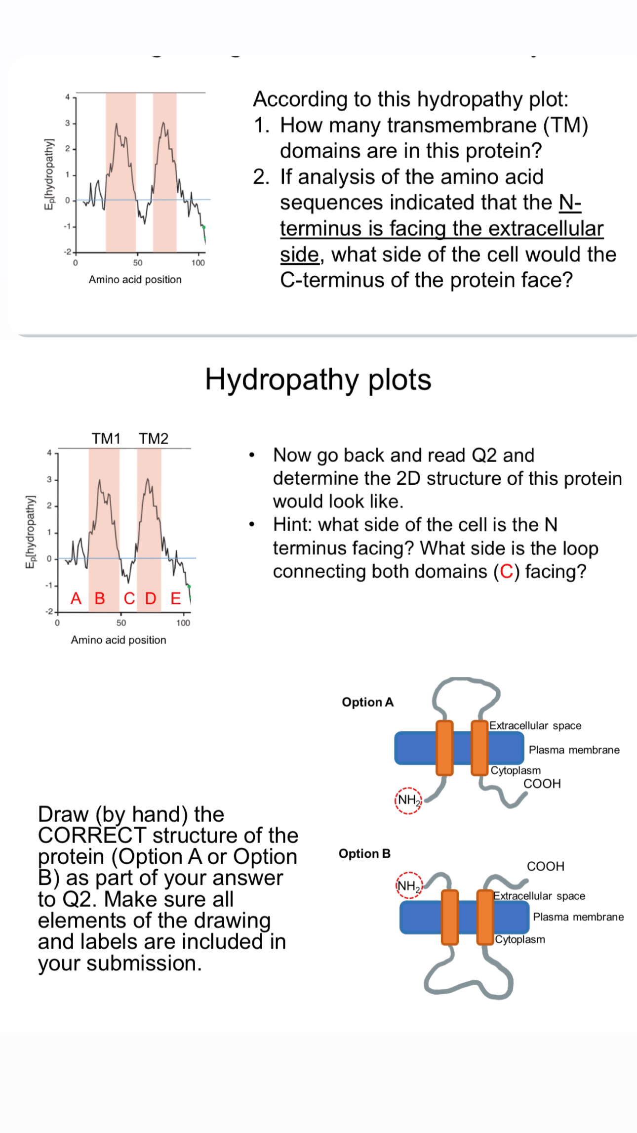 Solved According to this hydropathy plot:How many | Chegg.com