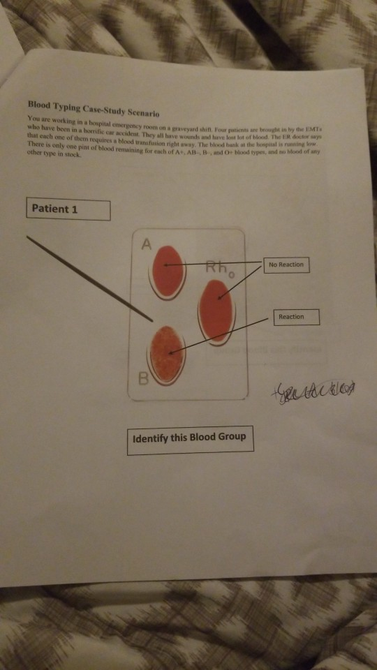 Solved Blood Typing Case Study Scenario You are working in a | Chegg.com
