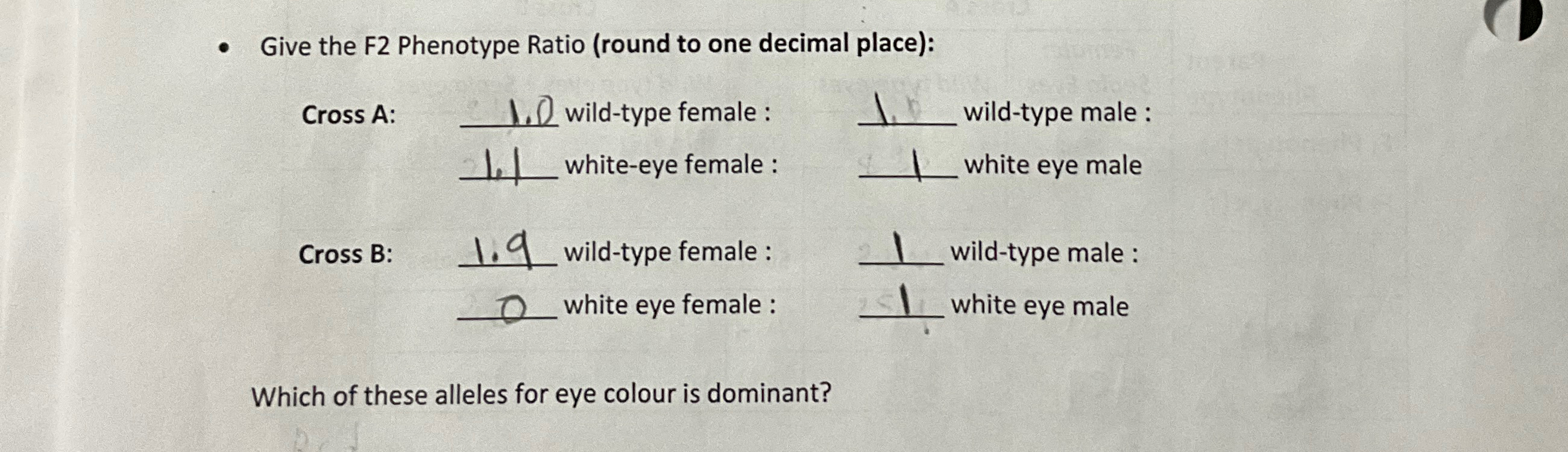 Solved Give the F2 ﻿Phenotype Ratio (round to one decimal | Chegg.com