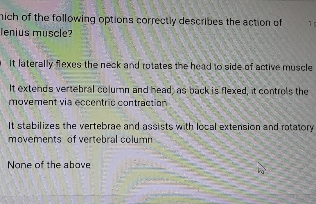 Solved nich of the following options correctly describes the | Chegg.com