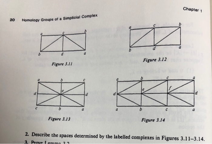 Solved Chapter 1 20 Homology Groups of a Simplicial Complex | Chegg.com