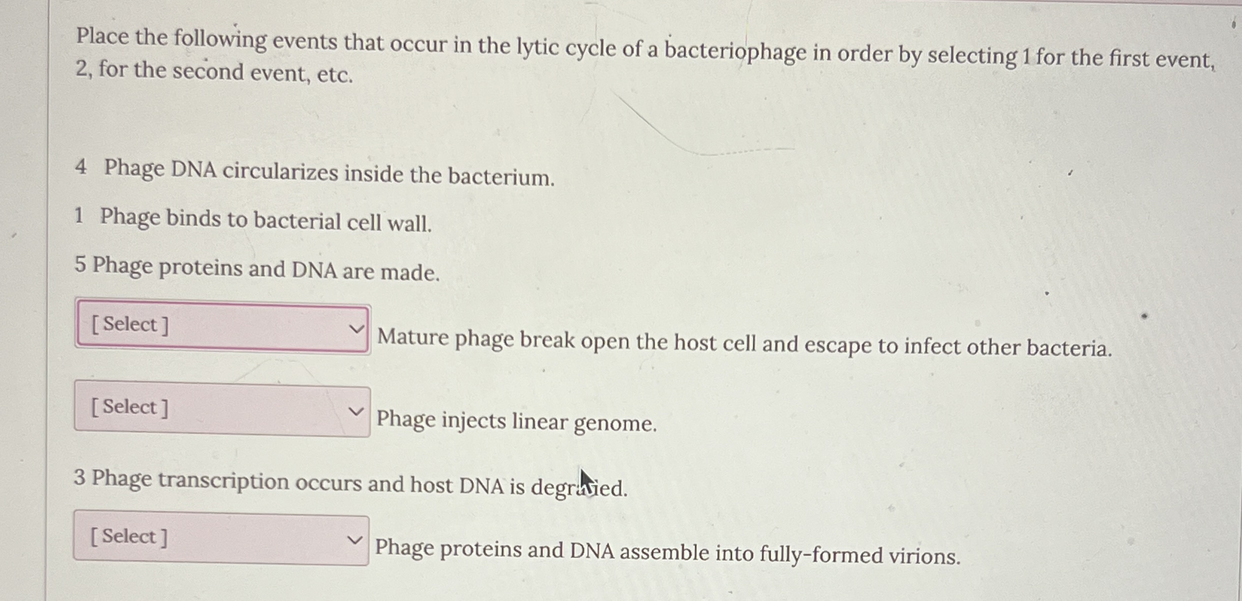 Solved Place the following events that occur in the lytic | Chegg.com