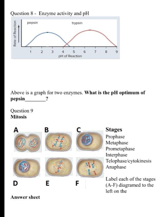 Solved Question 8 - Enzyme activity and pH pepsin trypsin | Chegg.com