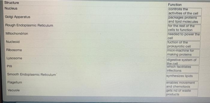 Solved Exercise 1 ions ion 1 What Are The Four Chegg
