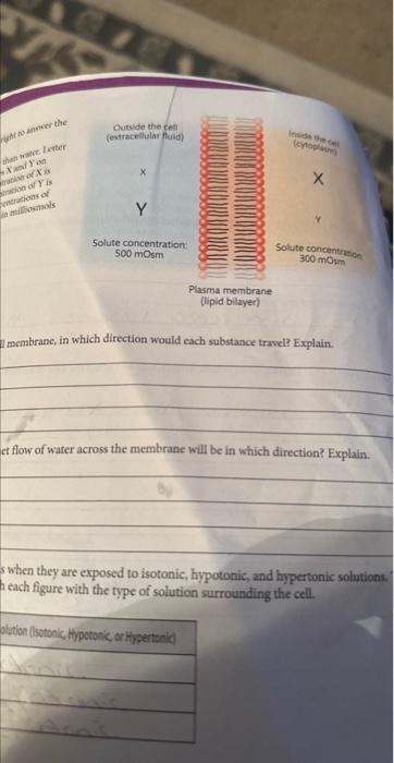 Solved Given the conditions illustrated in the diagram, the | Chegg.com