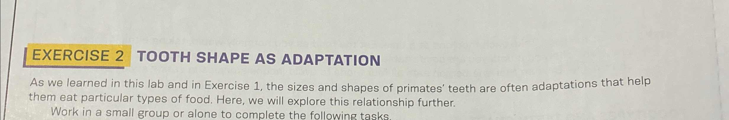 Solved TOOTH SHAPE AS ADAPTATIONAs we learned in this lab | Chegg.com