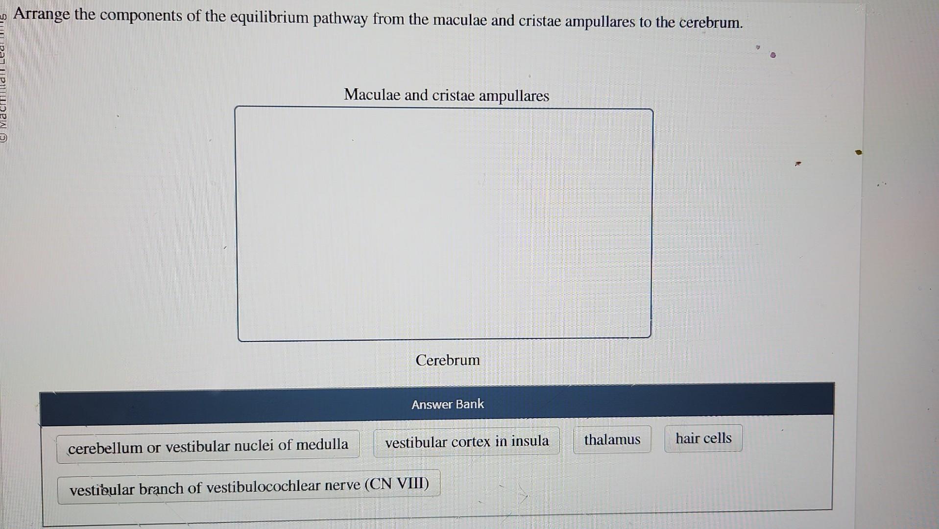 Solved Arrange the components of the equilibrium pathway | Chegg.com