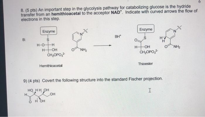Solved 8. (5 pts) An important step in the glycolysis | Chegg.com