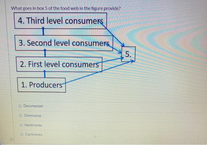 Solved What goes in box 5 of the food web in the figure | Chegg.com