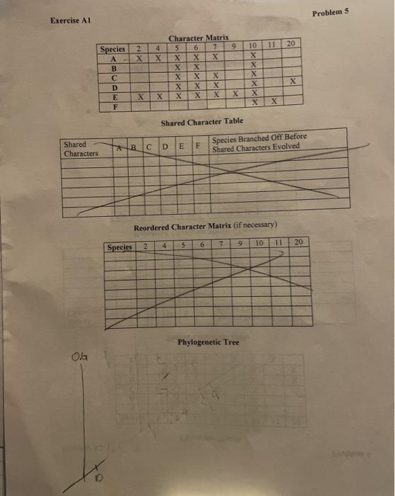 Solved Problem 4 Exercise A2 Character Matrix 4 5 7 2 х 12 х | Chegg.com