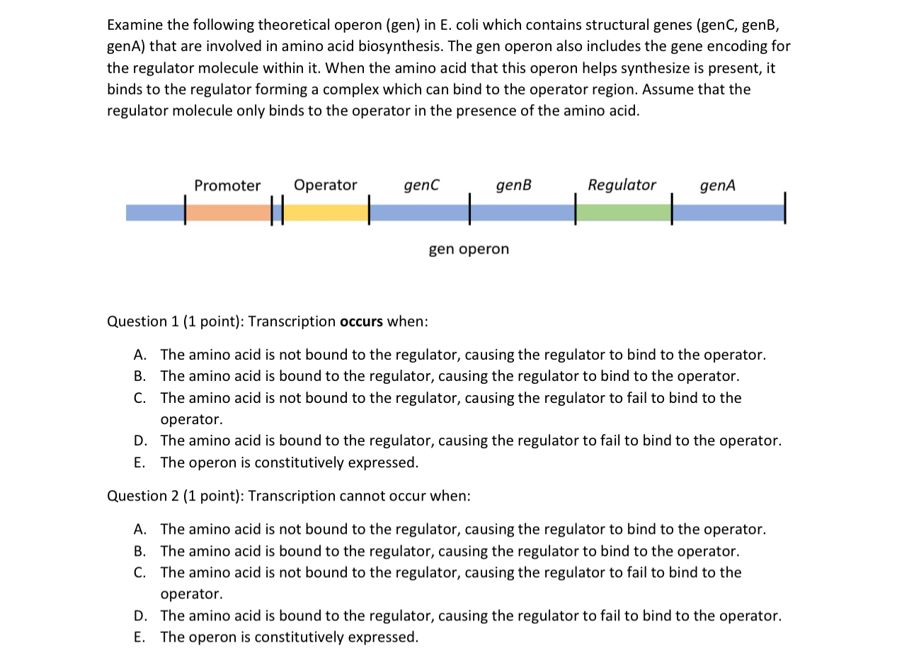Solved Examine the following theoretical operon (gen) ﻿in E. | Chegg.com