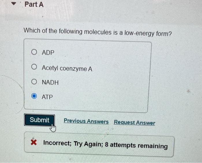 Solved Which of the following molecules is a low-energy | Chegg.com
