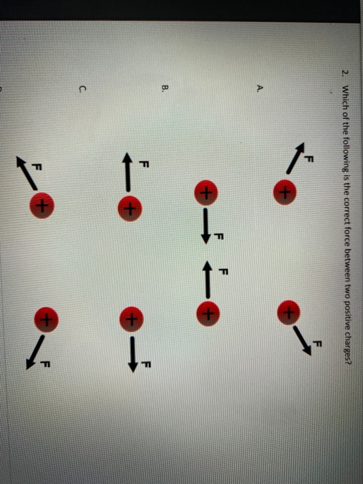 Solved 2. Which of the following is the correct force | Chegg.com