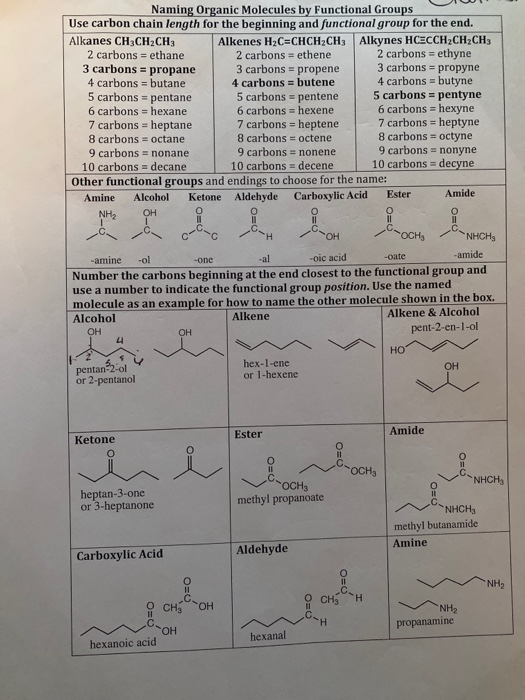 Solved Naming Organic Molecules by Functional Groups Use | Chegg.com