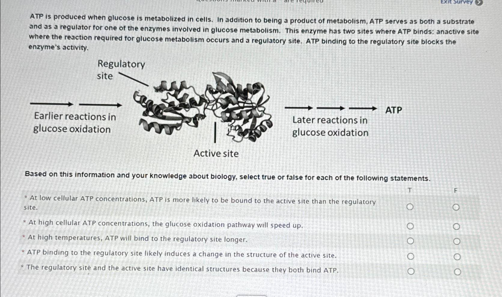 Solved ATP is produced when glucose is metabolized in cells. | Chegg.com