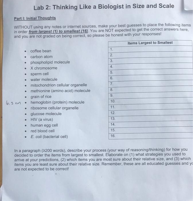 Solved Lab 2: Thinking Like a Biologist in Size and Scale | Chegg.com