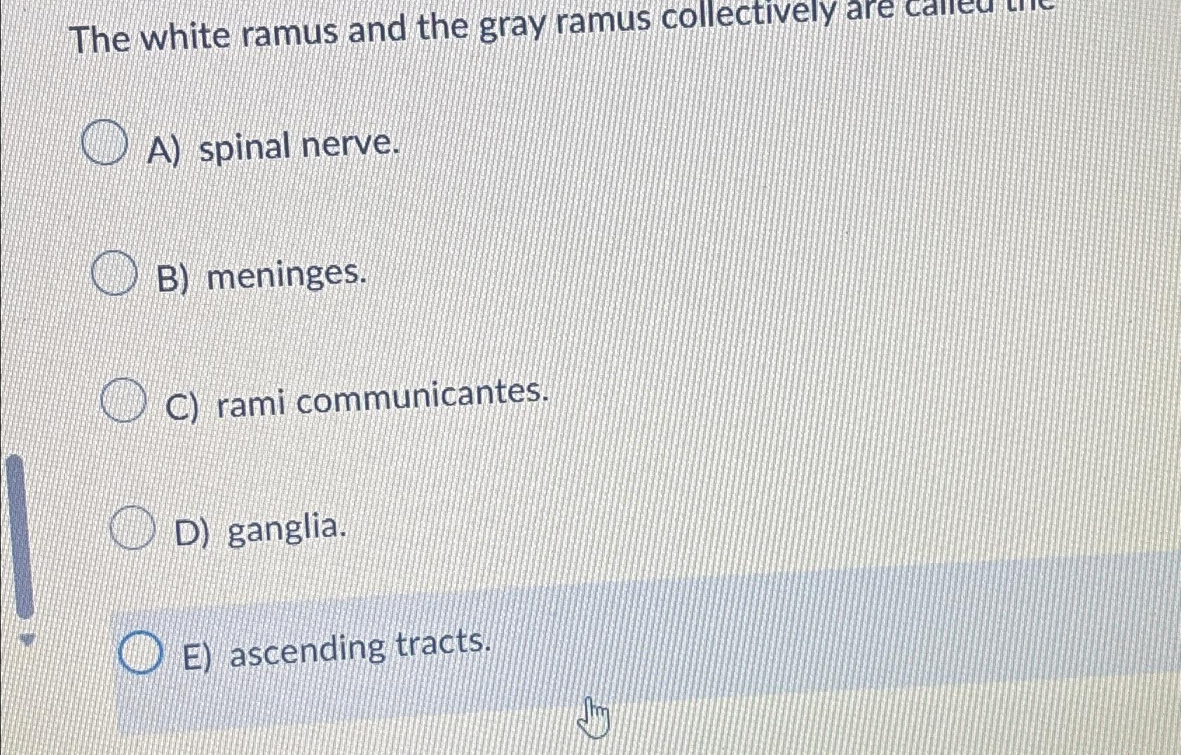 Solved The white ramus and the gray ramus collectively areA) | Chegg.com