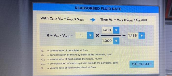 Solved REABSORBED FLUID RATE With Cin X Vin - Cout Vout Then | Chegg.com