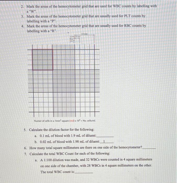 Solved 2. Mark the areas of the hemocytometer grid that are | Chegg.com
