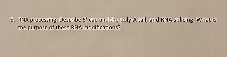 Solved RNA processing: Describe 5' ﻿cap and the poly-A tail, | Chegg.com