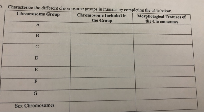 Solved 5. Characterize the different chromosome groups in | Chegg.com