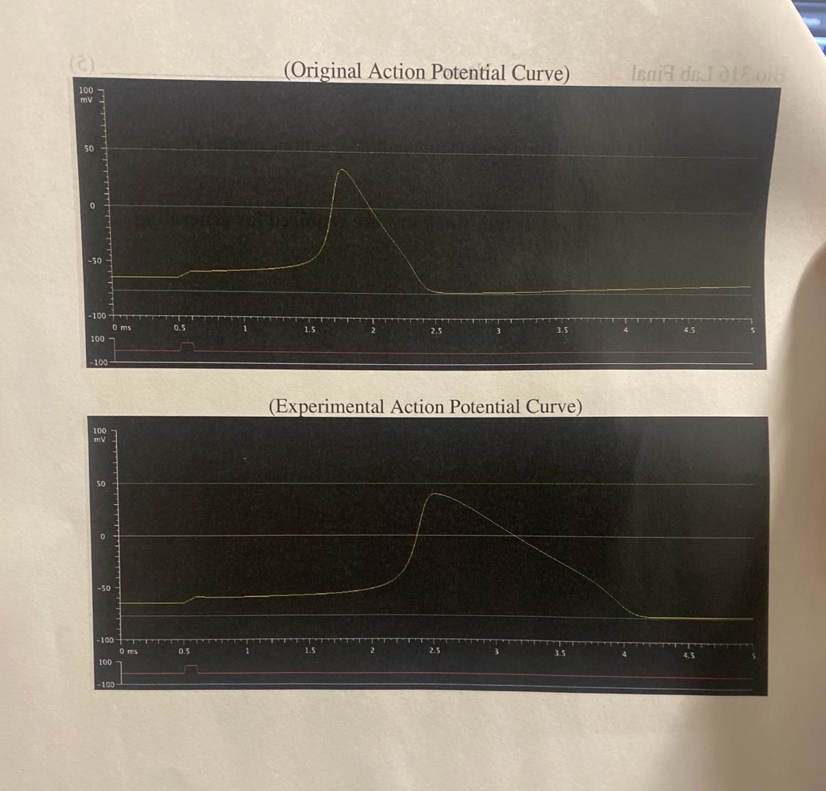 Solved You are experimenting with various properties of | Chegg.com