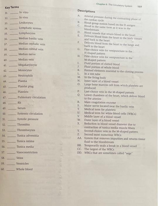 Solved Key Terms 31. 32. 33. 34. 35. 36. 37. 38. 39. 40. 41. | Chegg.com